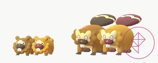 can bidoof evolve