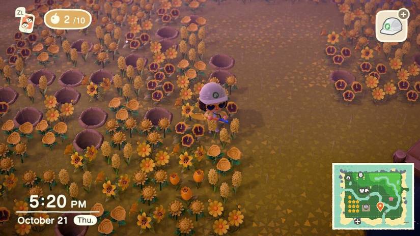 Tips to prepare for Animal Crossing: New Horizons 2.0