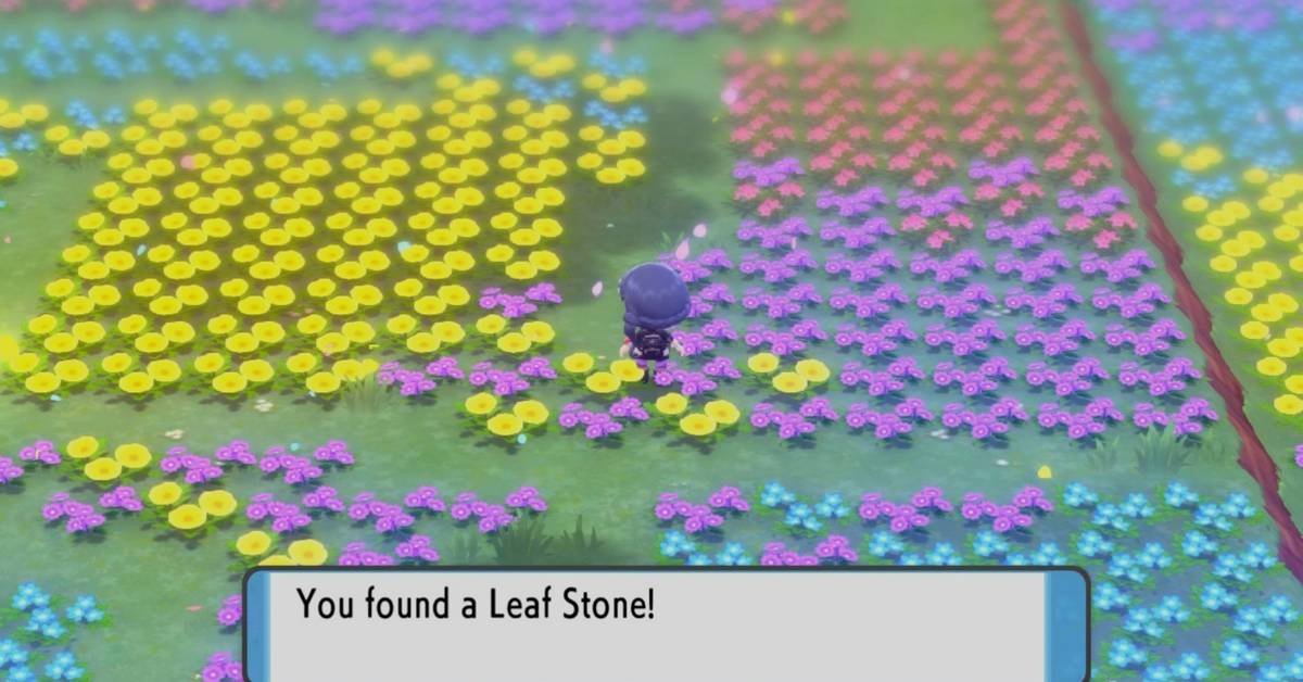 magneton evolution bdsp