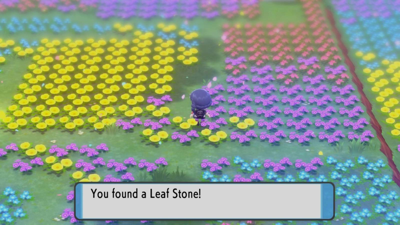 cleffa evolution shining pearl