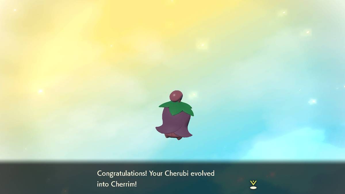 cherubi evolution sword