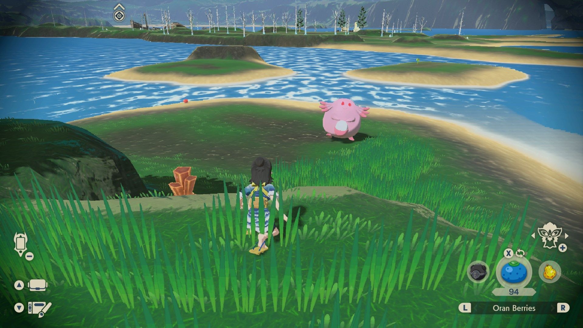 pokemon arceus level