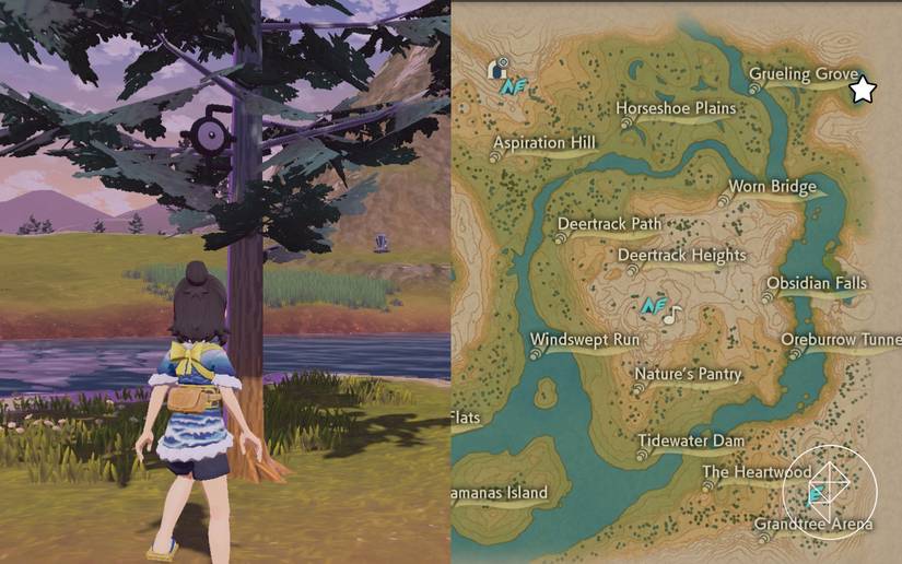 Unown locations in Pokémon Legends Arceus guide