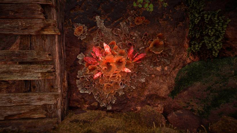 signal tower missing tool