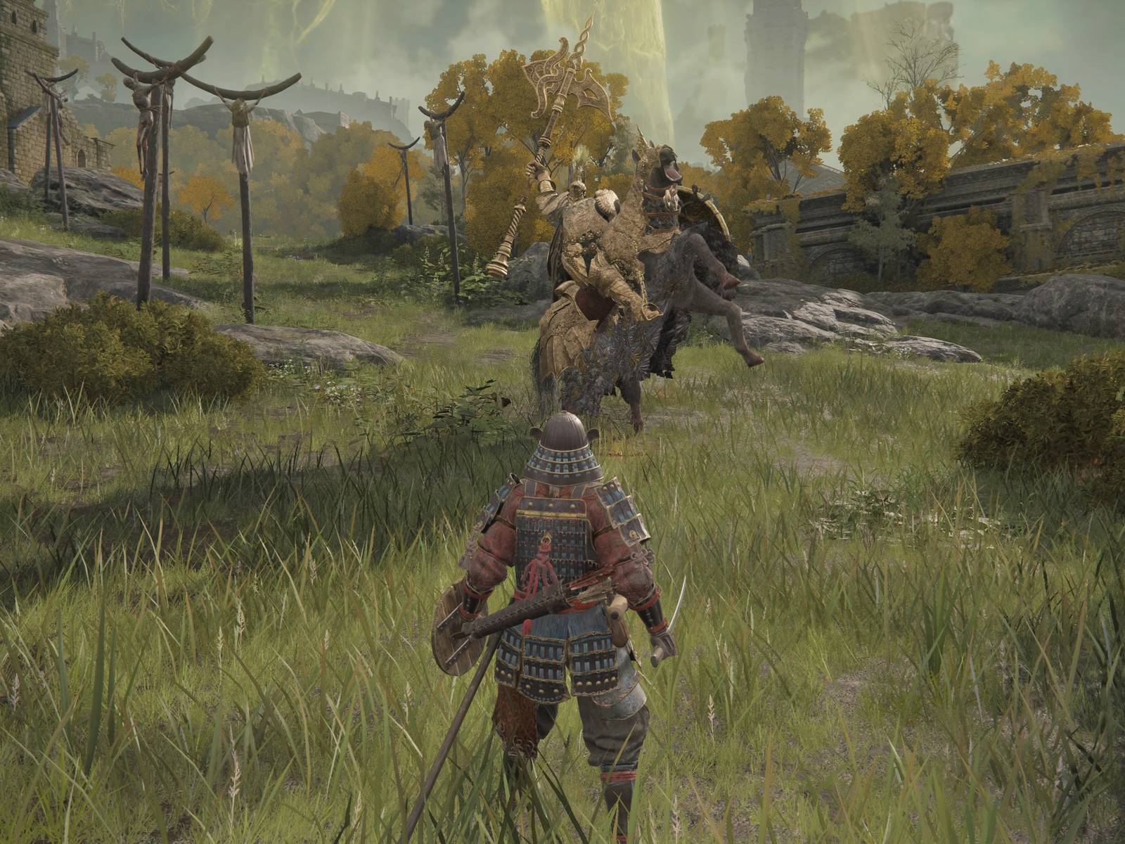 dragon tree sentinel