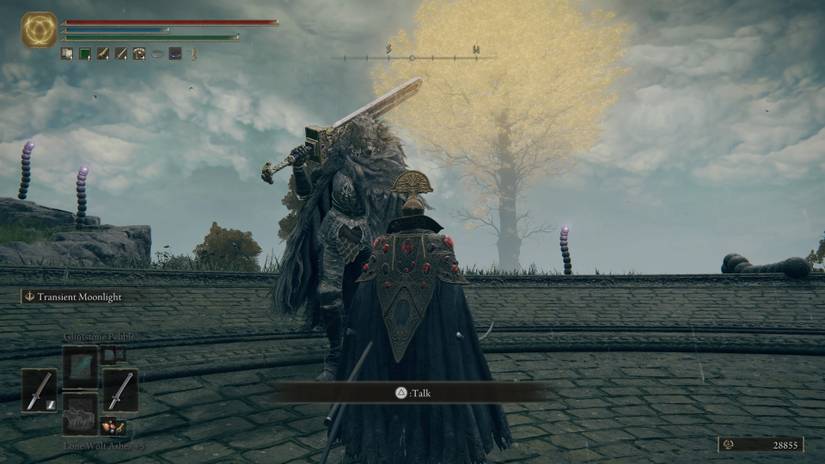 elden ring wolfman howling