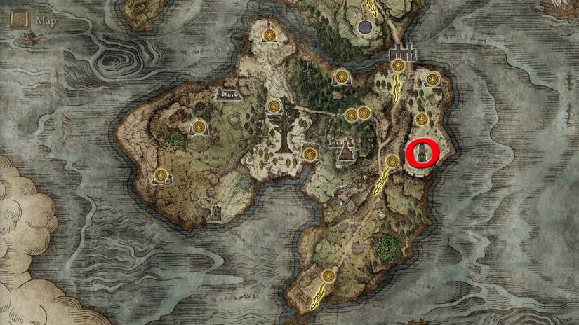 three tortoises elden ring