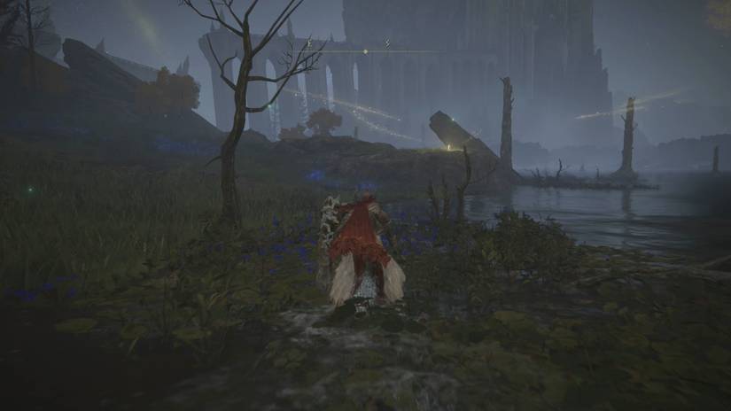 three tortoises elden ring