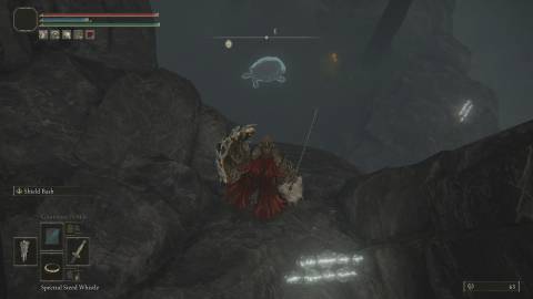 Tetsu’s Rise turtles location puzzle guide and maps