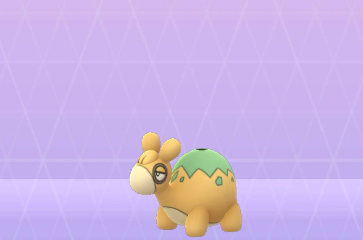 shiny numel evolution