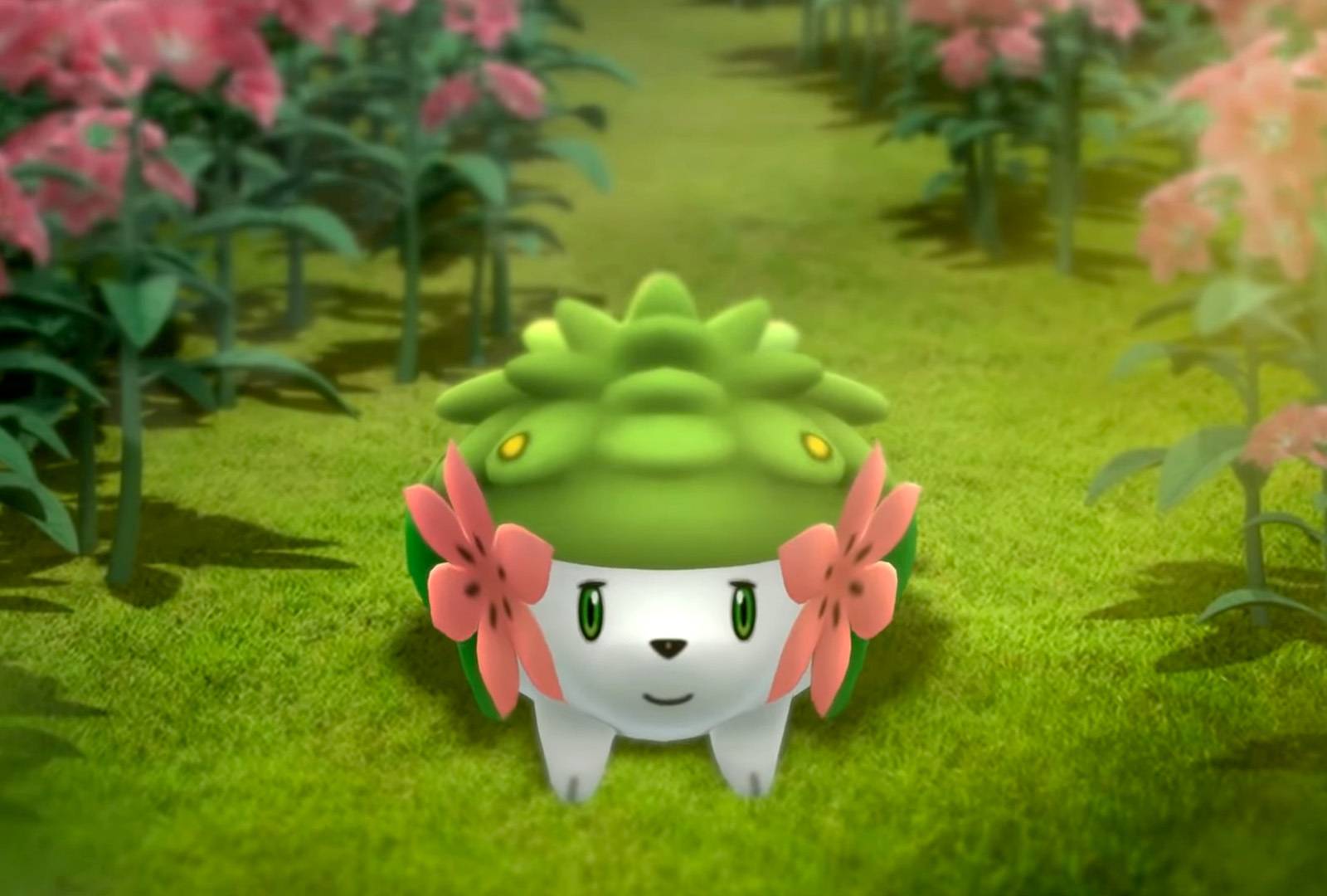 shaymin egg group