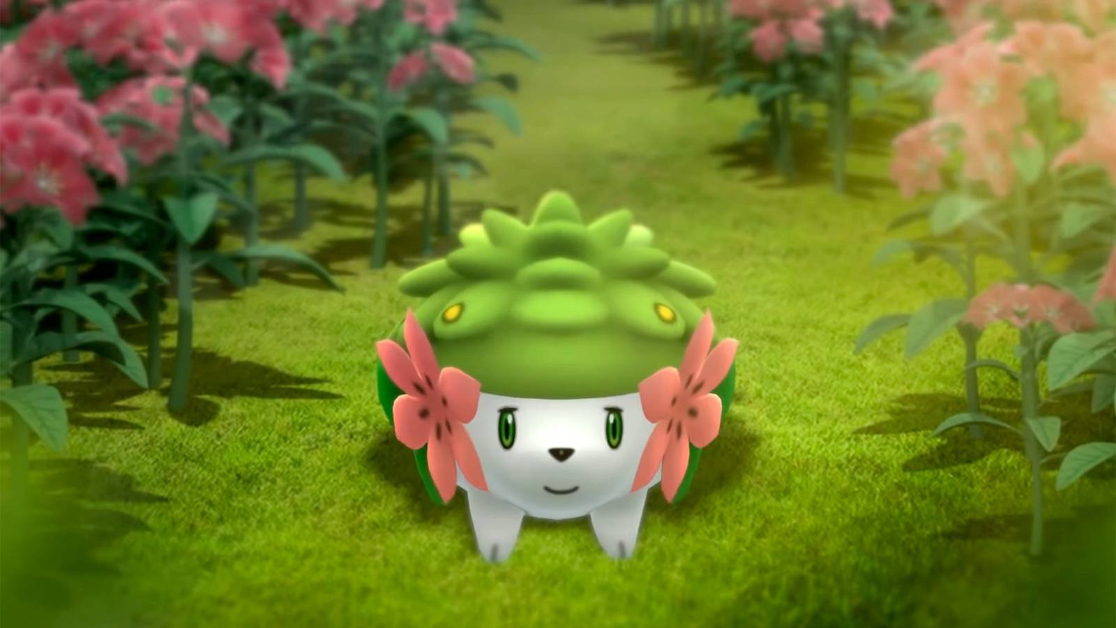shaymin pokémon