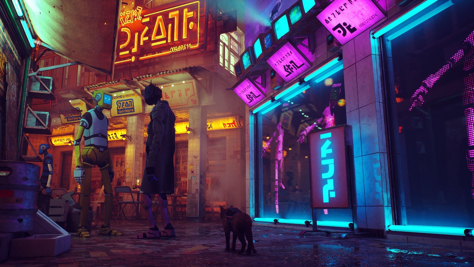 Stray | Polygon.com