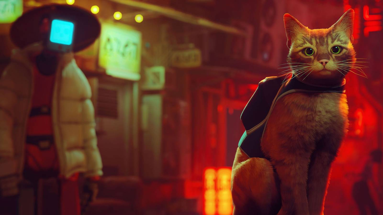 Stray, the best cat game yet, is coming to Mac