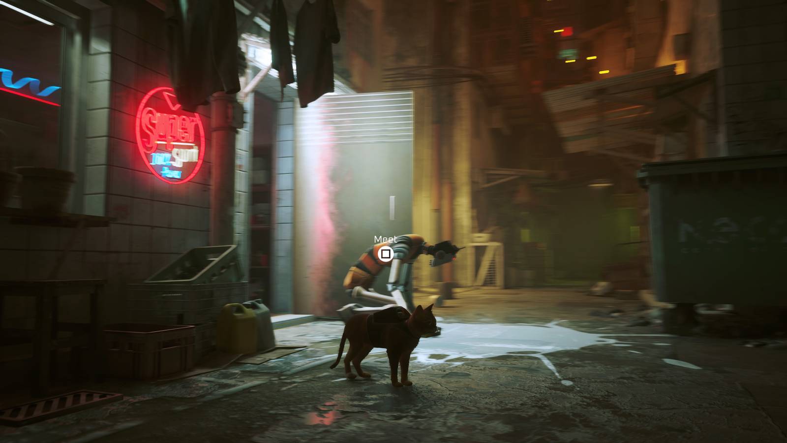 Stray guide: Collect the Poncho to warm up Elliot