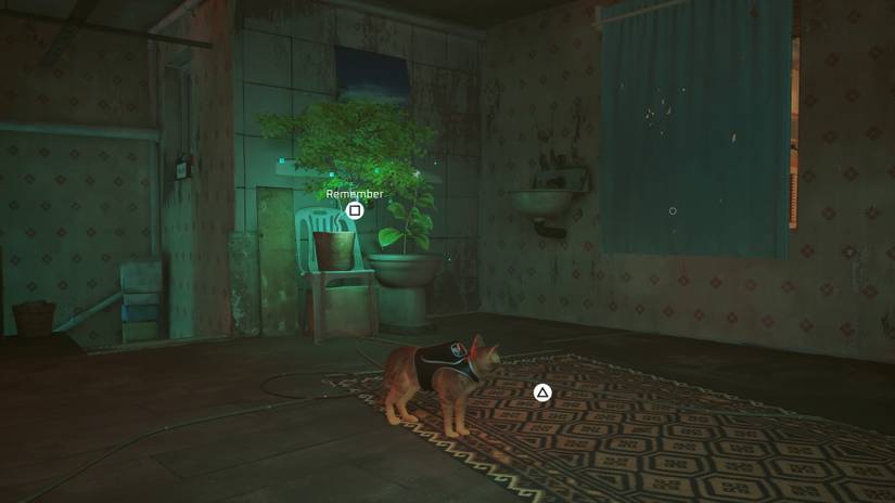 Stray guide: All Memory locations for B12