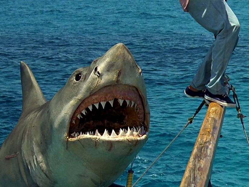 The best shark movies and other aquatic horror for Shark Week