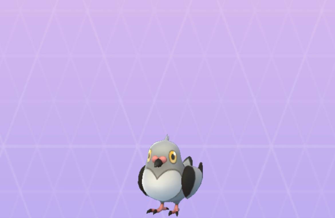 shiny pidove evolution line