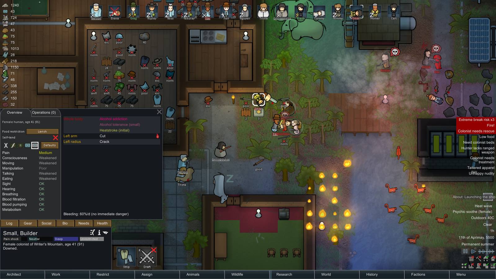 How RimWorld’s wild tragedies lead to better stories