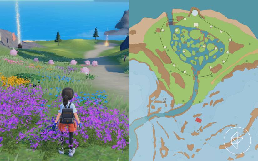 chansey evolution violet