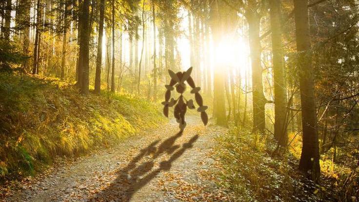 mega lopunny counters