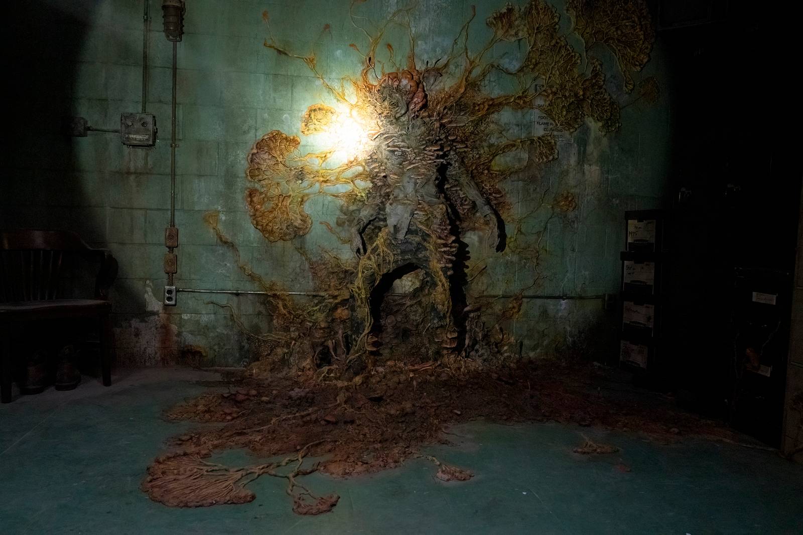 Last of Us’ creators explain Cordyceps mushroom zombies, changing the game
