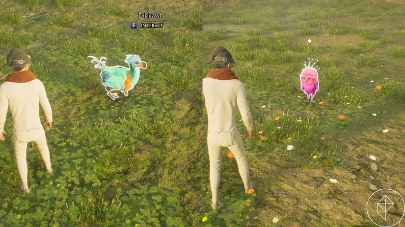 Hogwarts Legacy beasts: All locations, taming, breeding, & shiny beasts