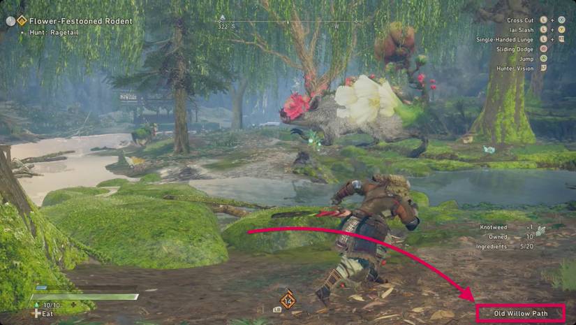 How to use Dragon Pits and build camps in Wild Hearts