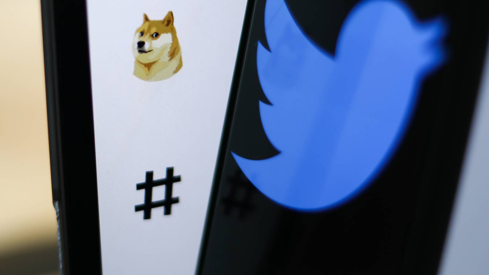 Twitter’s new Doge web logo looks like it might be here to stay