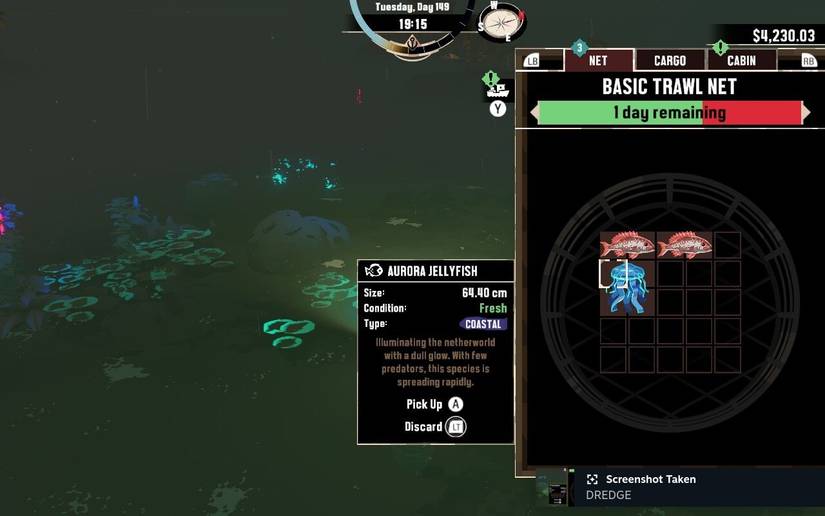 firefly squid dredge