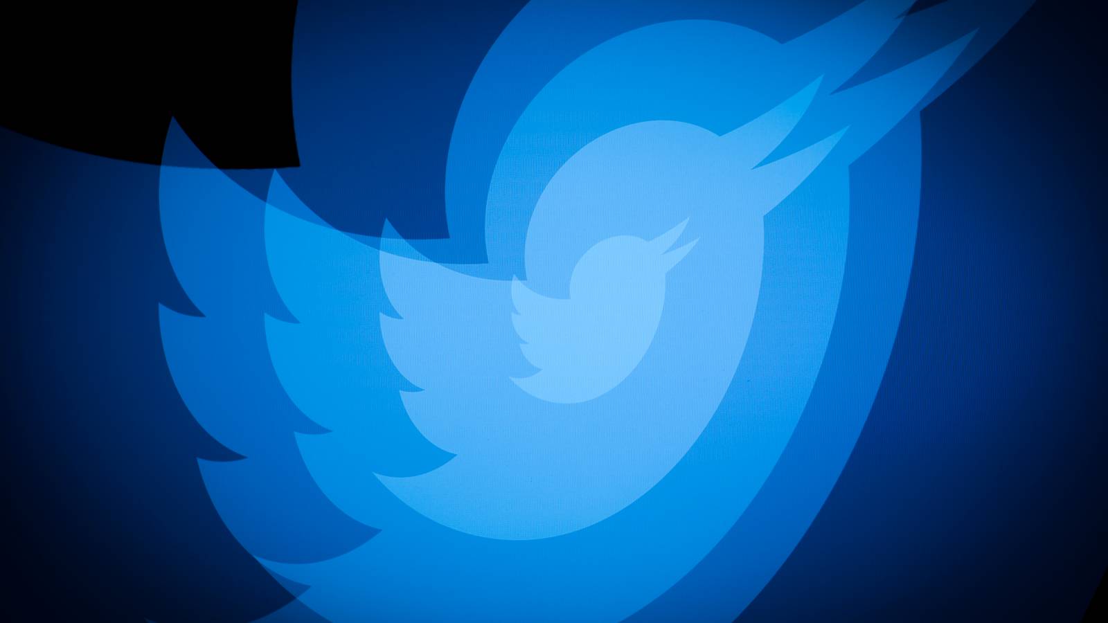 Twitter is handing out free blue checkmarks to some of its biggest users