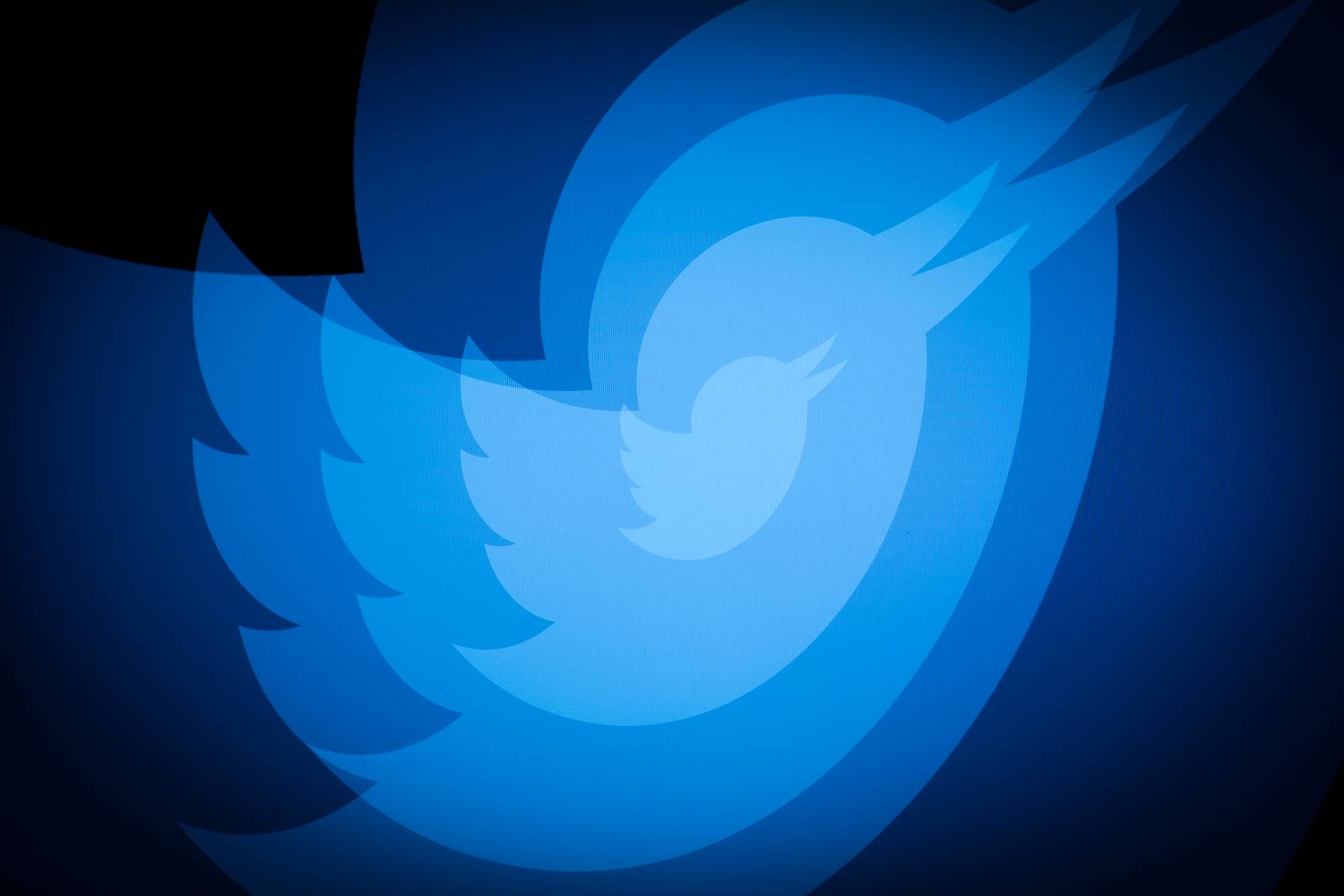 Twitter is handing out free blue checkmarks to some of its biggest users