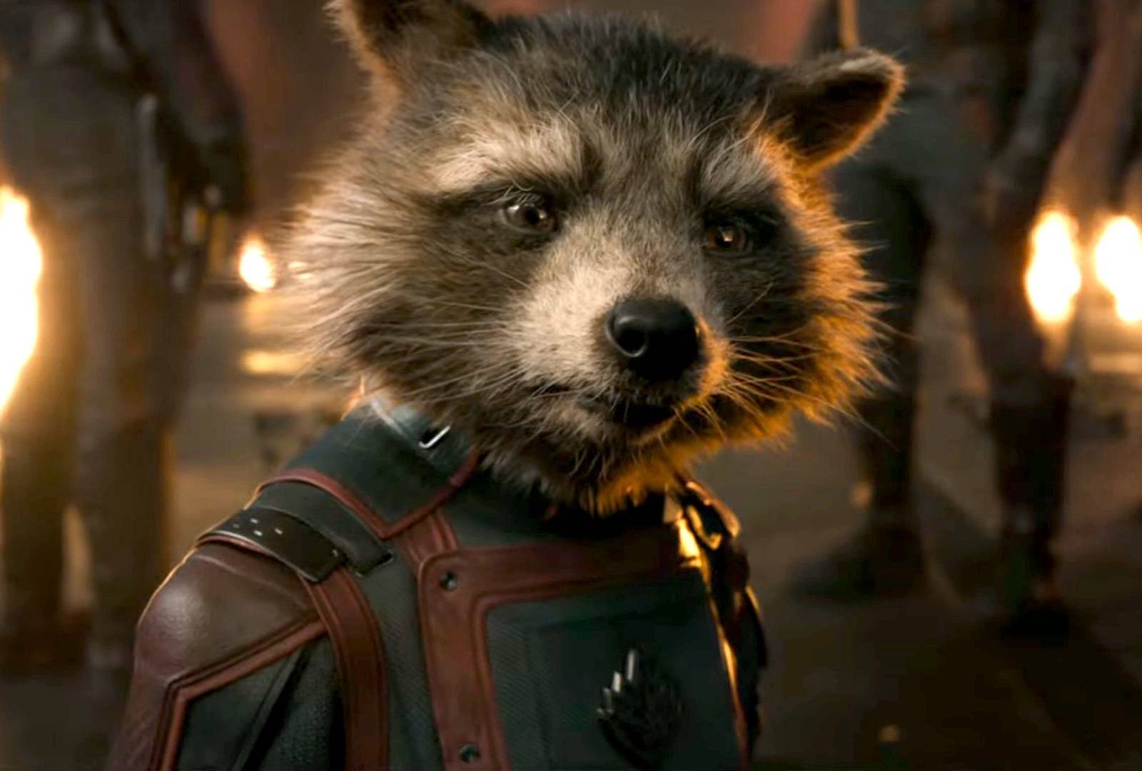 rocket superhero marvel