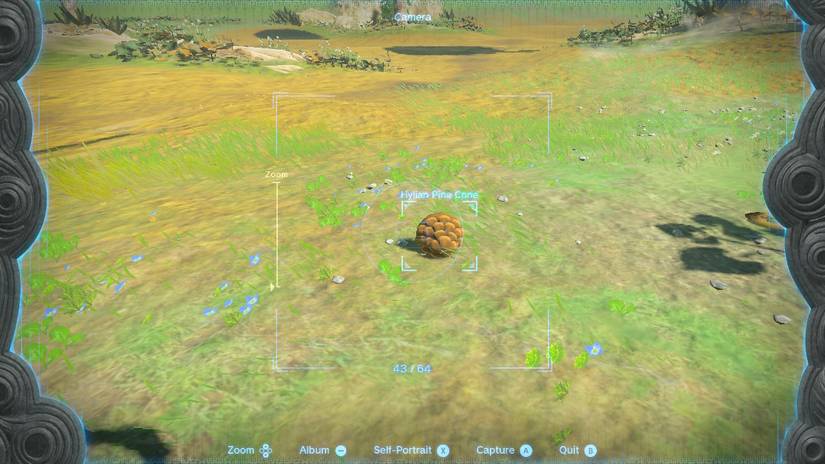 white goats gone missing