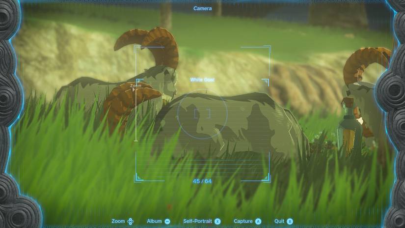 white goats gone missing