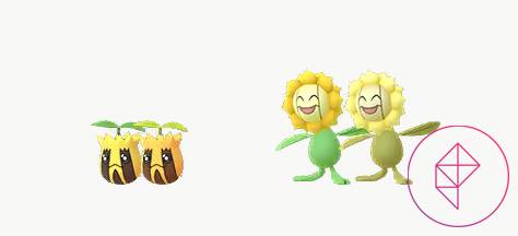 sunkern evolution chart