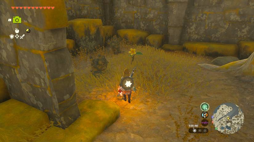 Korok seeds and Korok locations in Zelda: Tears of the Kingdom
