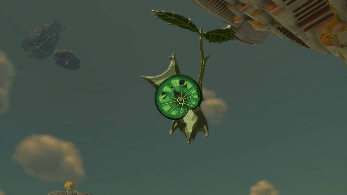 Korok seeds and Korok locations in Zelda: Tears of the Kingdom