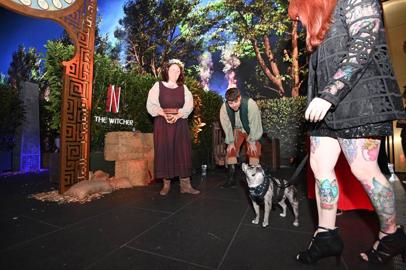 The dog in love with Henry Cavill went to the Witcher premiere