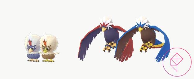 Can Rufflet be shiny in Pokémon Go?