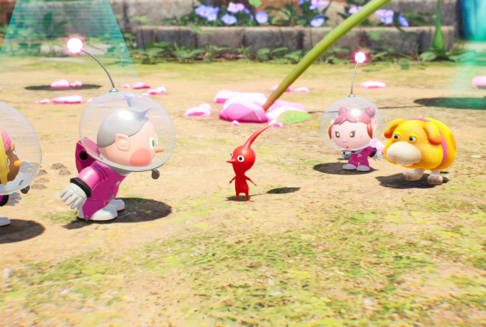 picme playing tricks