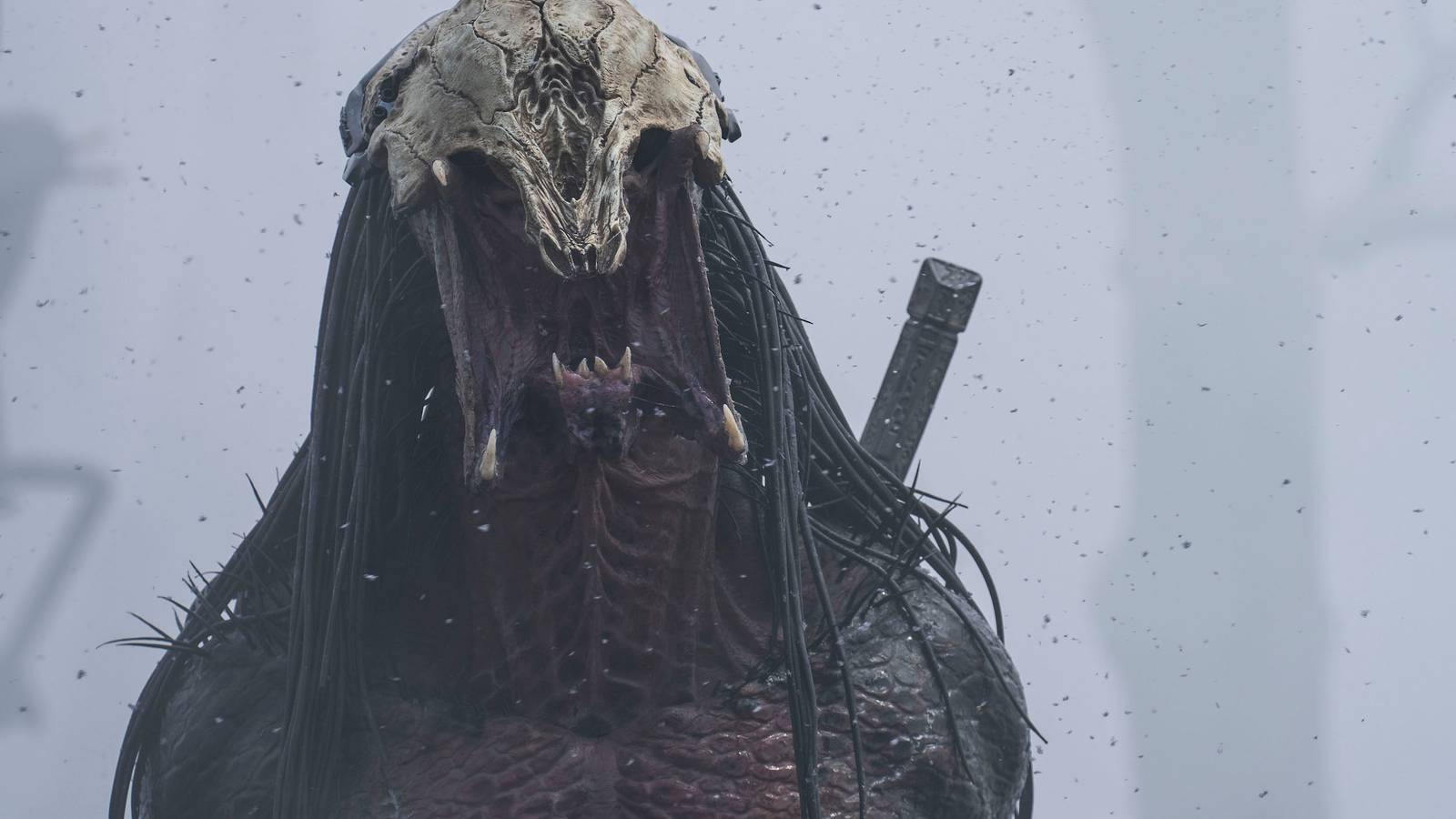 The next Predator movie after Prey already sounds promising