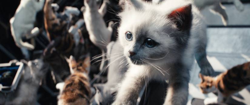 Terrible CGI cats in movies, ranked