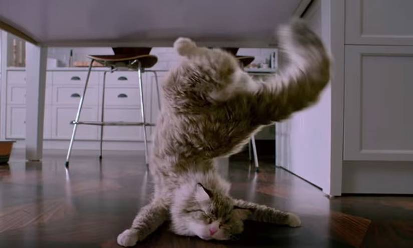 Terrible CGI cats in movies, ranked