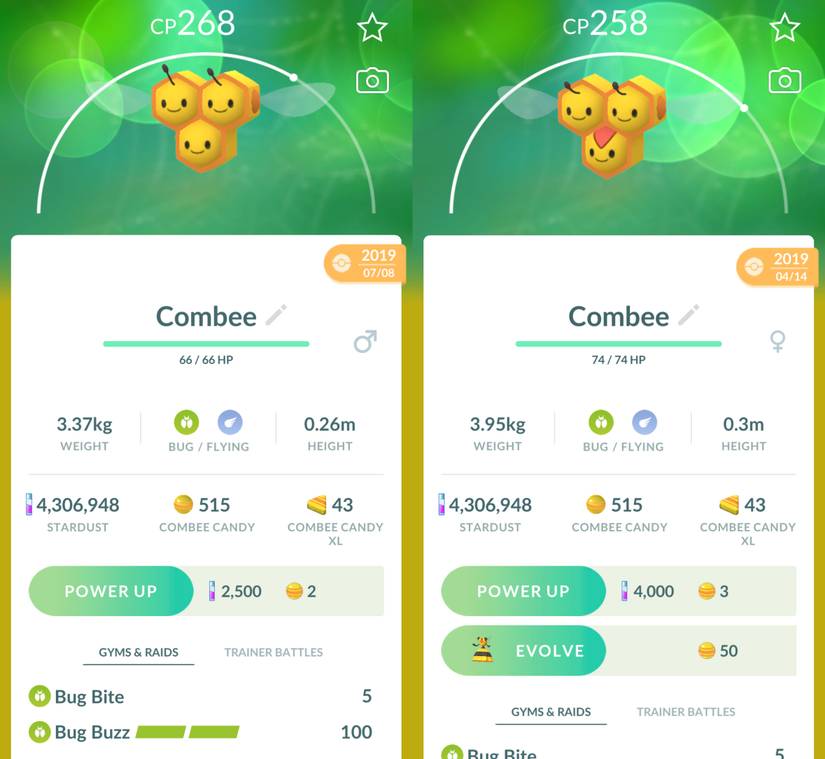 How to evolve Combee into Vespiquen in Pokémon Go