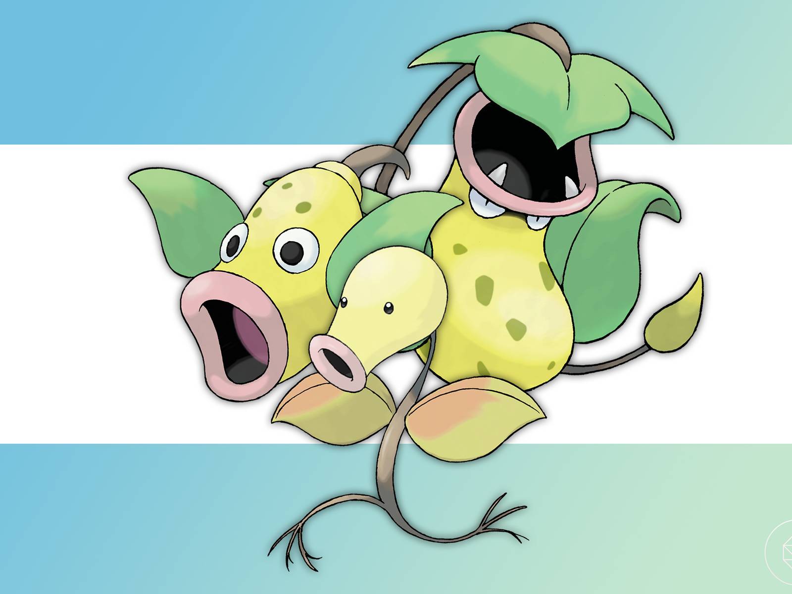 bellsprout evolution level violet