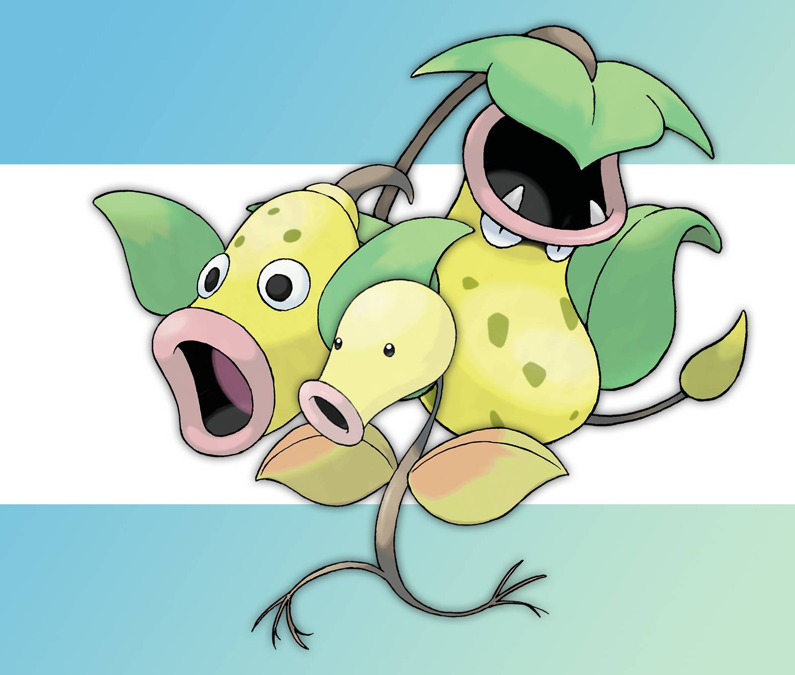 bellsprout pokémon evolution