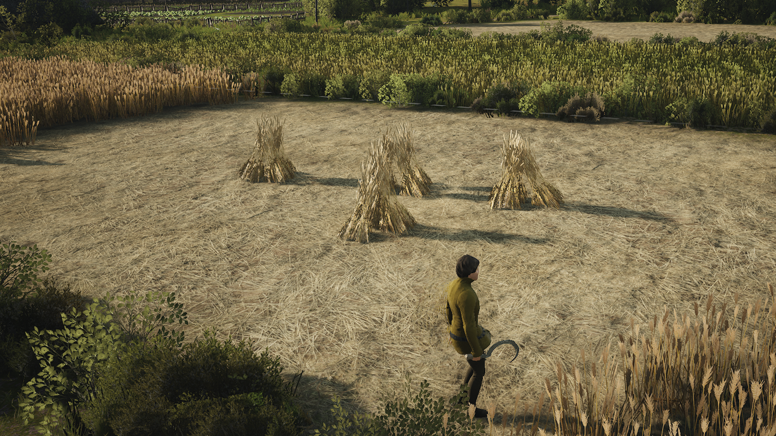 How to farm in Manor Lords