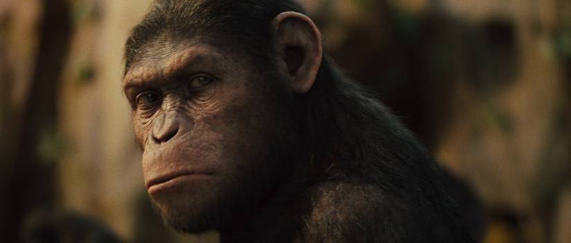How to watch every Planet of the Apes movie on streaming