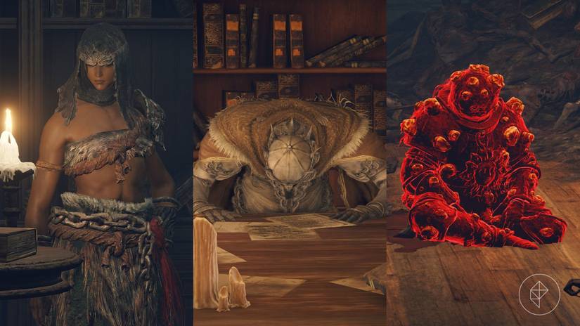 Seluvis questline in Elden Ring, who to give the potion to